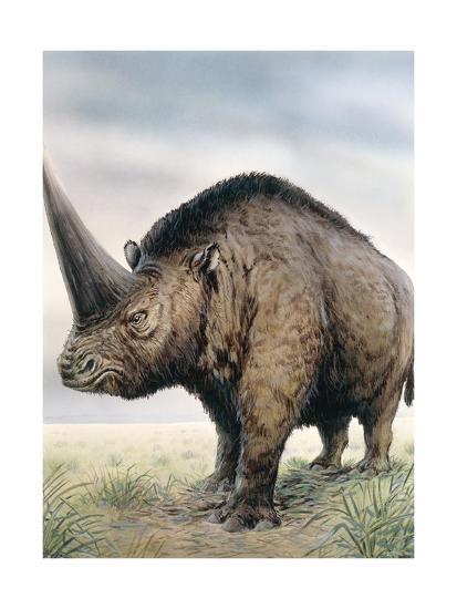 Elasmotherium — Extinclopedia